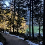 Eibsee Loop, Bavaria, Germany - 917 Reviews, Map | AllTrails