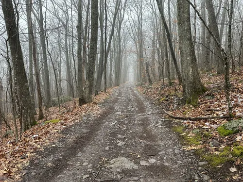 Best Hard Trails in Mount Rogers National Recreation Area | AllTrails