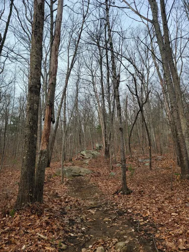 Best Hikes and Trails in Diamond Hill State Park | AllTrails