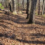 Lake Blue Ridge Loop , Georgia - 813 Reviews, Map | AllTrails