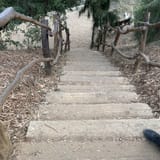 Fryman Canyon Trail, California - 5,976 Reviews, Map | AllTrails