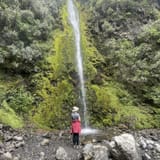 Dog Stream Waterfall via Waterfall Track, Canterbury, New Zealand - 146 ...