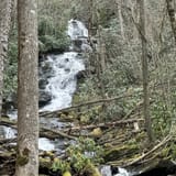 Alarka Creek Falls, North Carolina - 306 Reviews, Map | AllTrails
