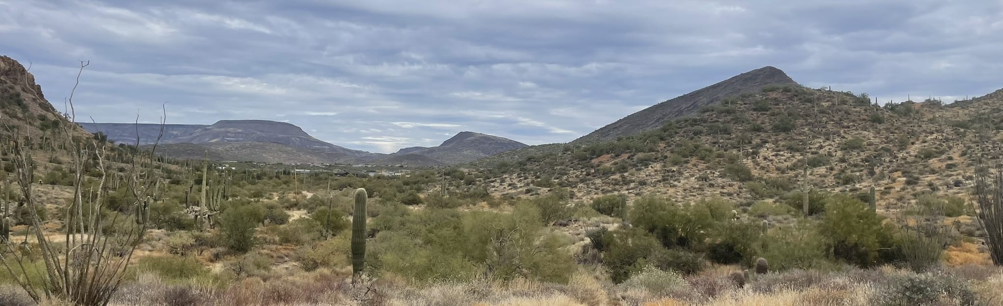 Spear S Ranch Loop, Arizona - 240 Reviews, Map | AllTrails
