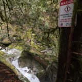 Racehorse Falls Trail, Washington - 433 Reviews, Map | AllTrails