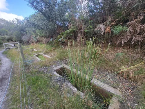 Best Hikes and Trails in Langwarrin Flora and Fauna Reserve | AllTrails