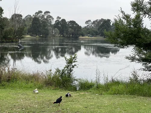 Best Hikes and Trails in Harrington Park Lake | AllTrails