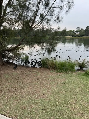 Best Hikes and Trails in Harrington Park Lake | AllTrails