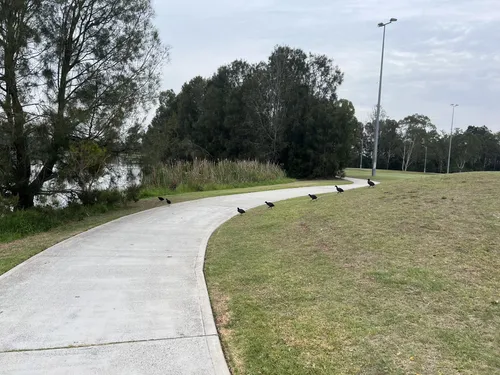 Best Hikes and Trails in Harrington Park Lake | AllTrails