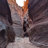 Wire Pass Trail, Utah - 2,685 Reviews, Map | AllTrails