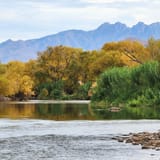Lower Salt River Nature Trail, Arizona - 1,062 Reviews, Map | AllTrails