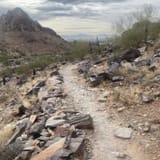 Freedom Trail (#302), Arizona - 4,106 Reviews, Map | AllTrails