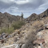 Freedom Trail (#302), Arizona - 4,106 Reviews, Map | AllTrails