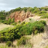 Great South West Walk , Victoria, Australia - 83 Reviews, Map | AllTrails