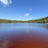 Poona Lake, Queensland, Australia - 73 Reviews, Map | AllTrails