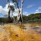 Poona Lake, Queensland, Australia - 73 Reviews, Map | AllTrails