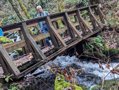 Best Hikes and Trails in Molalla River Corridor Recreation Area | AllTrails