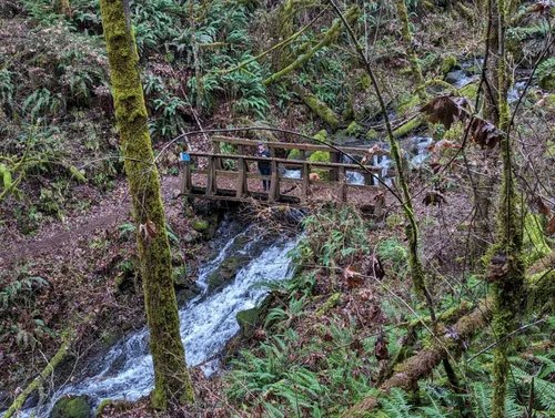 Best Hikes and Trails in Molalla River Corridor Recreation Area | AllTrails