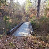 Wild Azalea Trail, Louisiana - 340 Reviews, Map | AllTrails