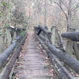 Wild Azalea Trail, Louisiana - 340 Reviews, Map | AllTrails