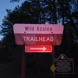 Wild Azalea Trail, Louisiana - 290 Reviews, Map | AllTrails