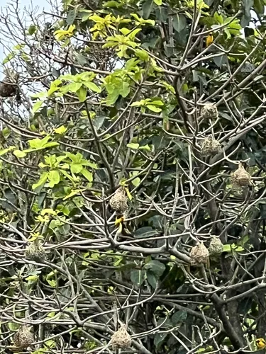 10 Best Trails and Hikes in Ballito | AllTrails