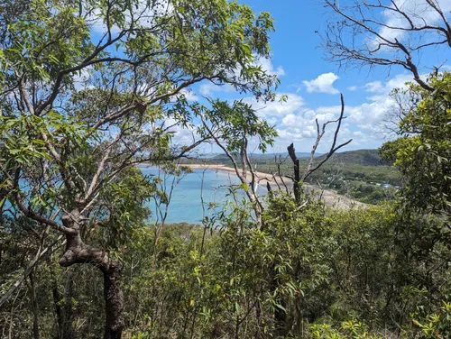 Best Hikes and Trails in Haliday Bay - Ball Bay | AllTrails