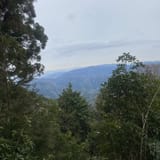 Mount Atago Loop, Kyoto, Japan - 182 Reviews, Map | AllTrails