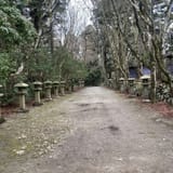 Mount Atago Loop, Kyoto, Japan - 182 Reviews, Map | AllTrails