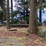Mount Atago Loop, Kyoto, Japan - 182 Reviews, Map | AllTrails