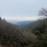 Mount Atago Loop, Kyoto, Japan - 182 Reviews, Map | AllTrails