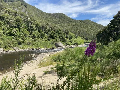 Best Hikes and Trails in Outram | AllTrails