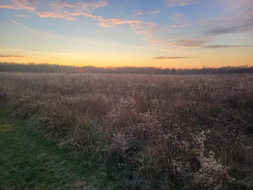 Best Hikes and Trails in Frohring Meadows | AllTrails