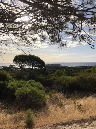 Best Hikes and Trails in Manning Park Reserve | AllTrails