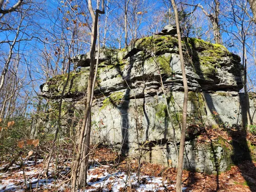 Best Views Trails in Laurel Ridge State Park | AllTrails