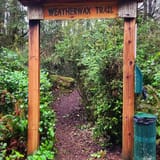 Weatherwax Trail, Washington - 294 Reviews, Map | AllTrails