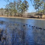 Fort Yargo Lake Loop, Georgia - 3,161 Reviews, Map | AllTrails