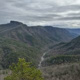 Wiseman's View Trail, North Carolina - 468 Reviews, Map | AllTrails