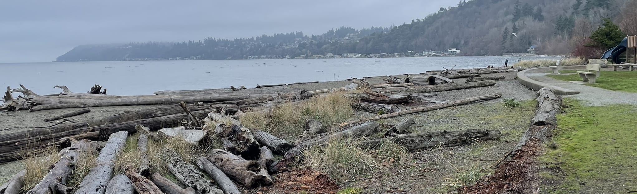 Seahurst Park Loop Trail, Washington - 773 Reviews, Map | AllTrails