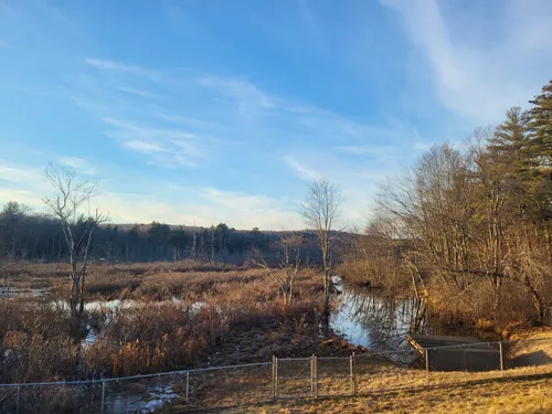 Best Hikes and Trails in Cold Harbor Brook F.C. | AllTrails