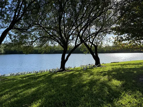 Best Hikes and Trails in Highland Oaks Park | AllTrails