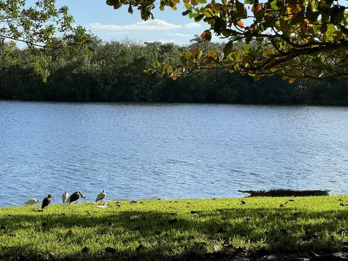 Best Hikes and Trails in Highland Oaks Park | AllTrails