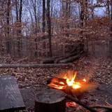Tecumseh Trail, Indiana - 294 Reviews, Map | AllTrails