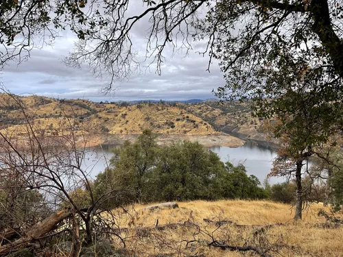 Best 10 Hiking Trails in Millerton Lake State Recreation Area | AllTrails