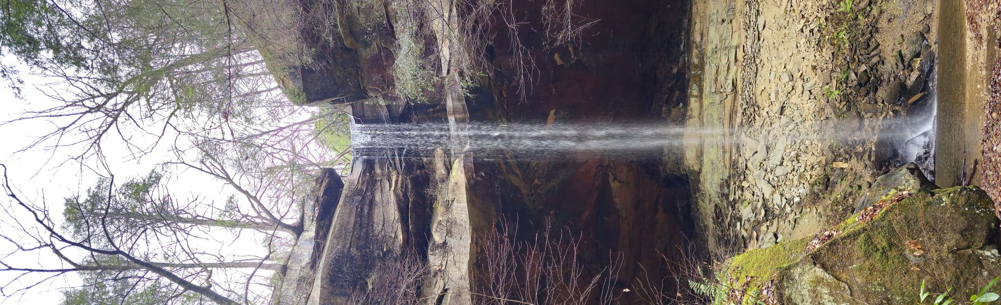 Yahoo Falls Short Loop, Kentucky - 288 Reviews, Map | AllTrails