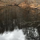 Mountain Tea State Forest Cabin and Pond, Indiana - 189 Reviews, Map ...