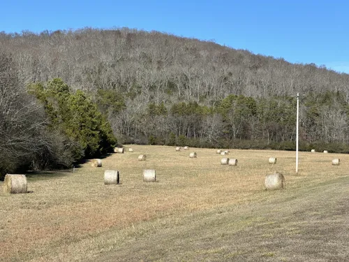 Best Hikes and Trails in Cathedral Caverns State Park | AllTrails