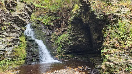 Best Hikes and Trails in Bushkill Falls | AllTrails