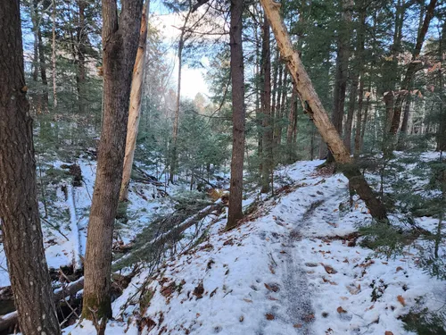 Best Waterfall Trails in Fredericton | AllTrails