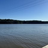 Harris Lake Peninsula Trail, North Carolina - 1,700 Reviews, Map ...